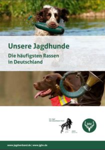 Jagdhunderassen – Jagdgebrauchshundverein Rurtal e. V.